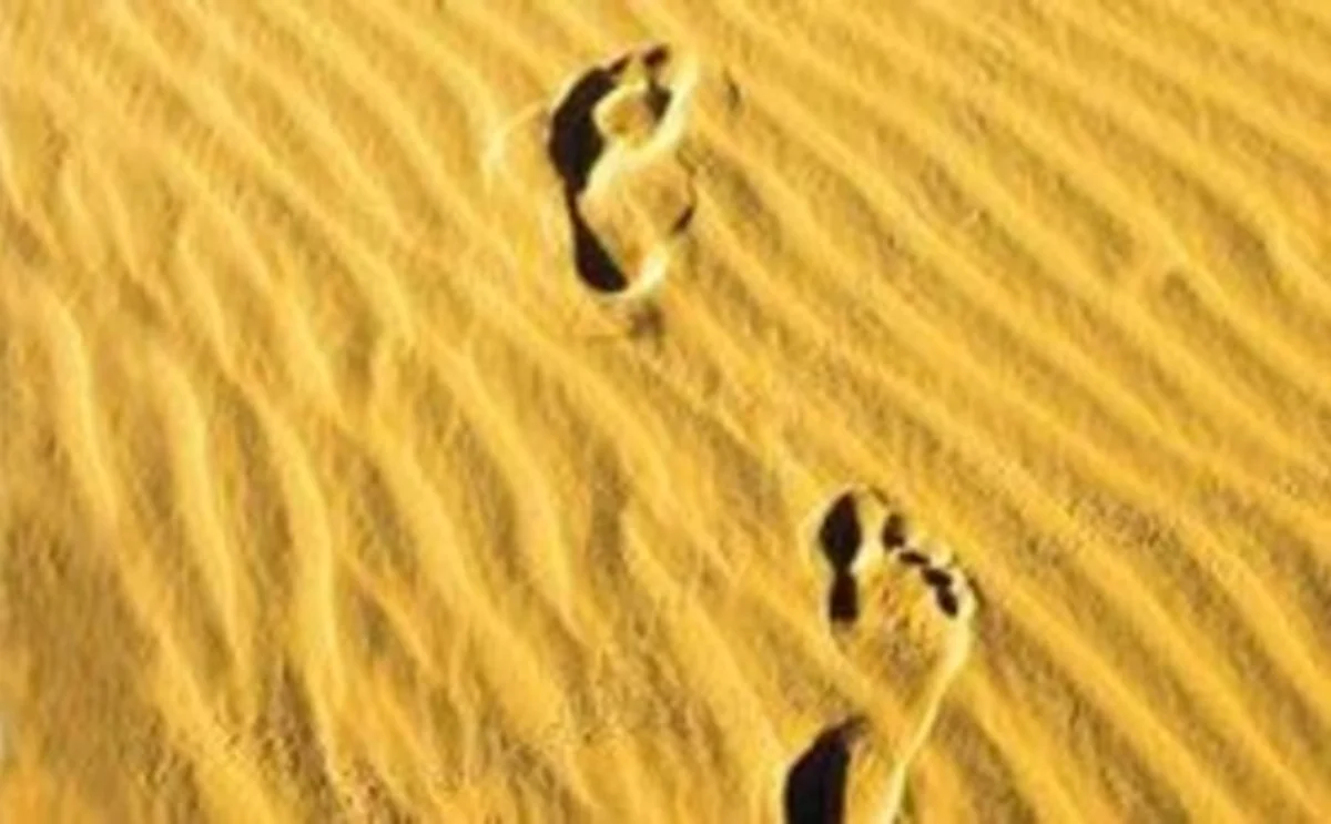 DTCC expands repository footprint into Asia - FX Markets